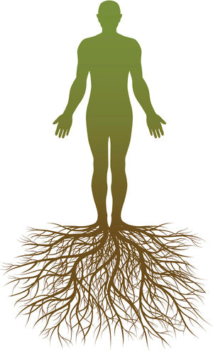 The Grounding Effect: Connecting Body and Mind with the Earth ...